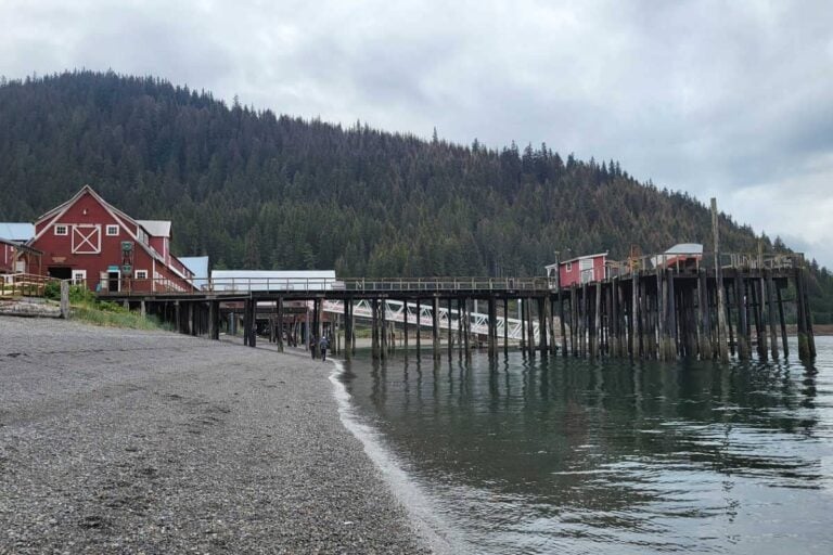 Icy Strait Point Vs. Skagway: Comparing Two Popular Alaska Ports ...