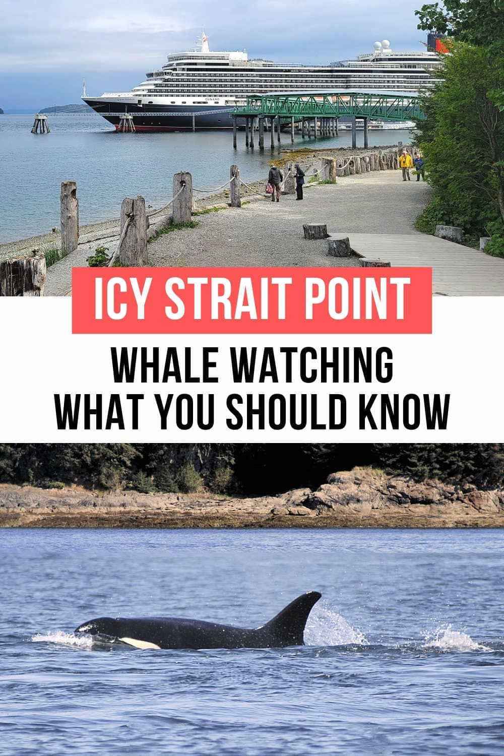 Icy Strait Point Whale Watching: Insider Tips For An Epic Adventure ...