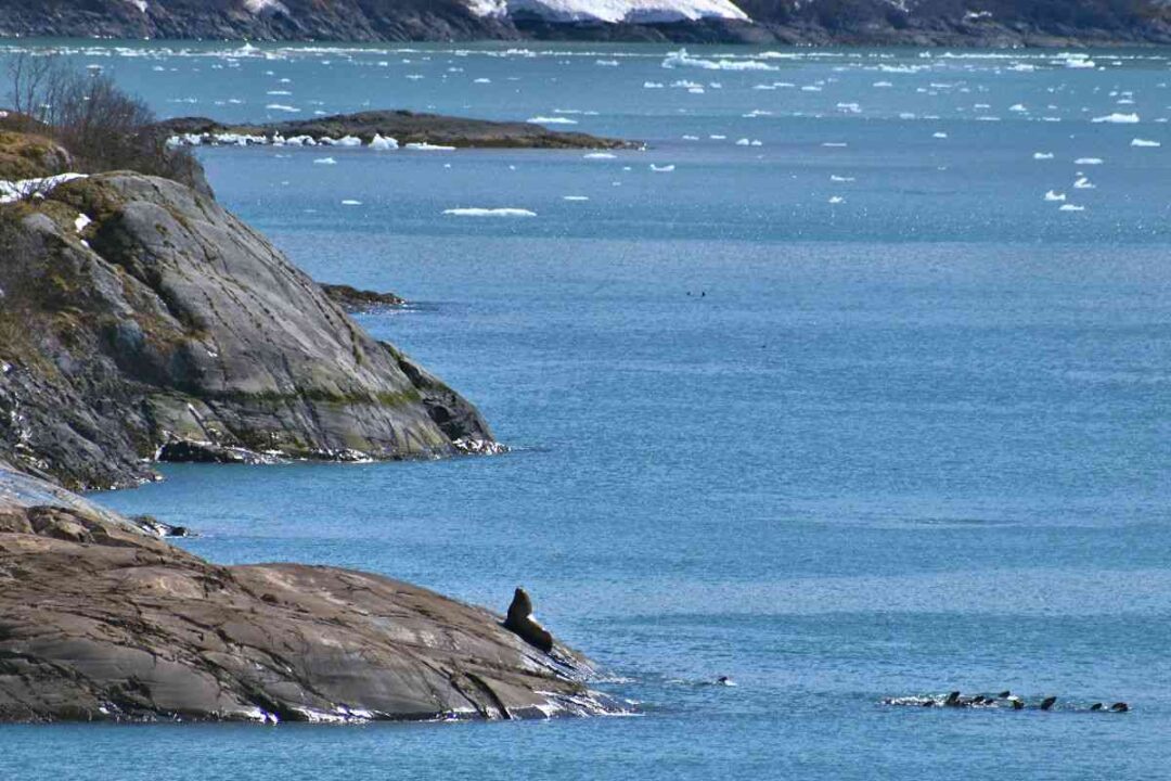 Best Time To Visit Alaska: Weather, Wildlife And Events - Alaska Trippers