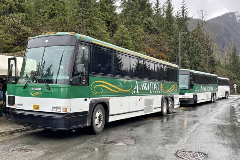 Mendenhall Glacier On Your Own: How To Visit Independently - Alaska ...