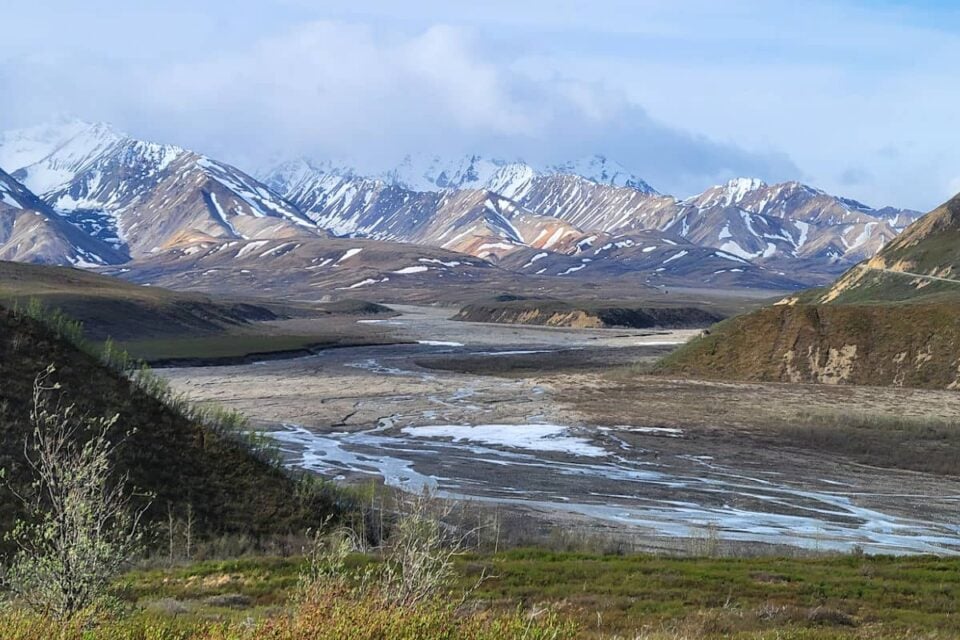Best Time To Visit Denali National Park: A Seasonal Guide - Alaska Trippers