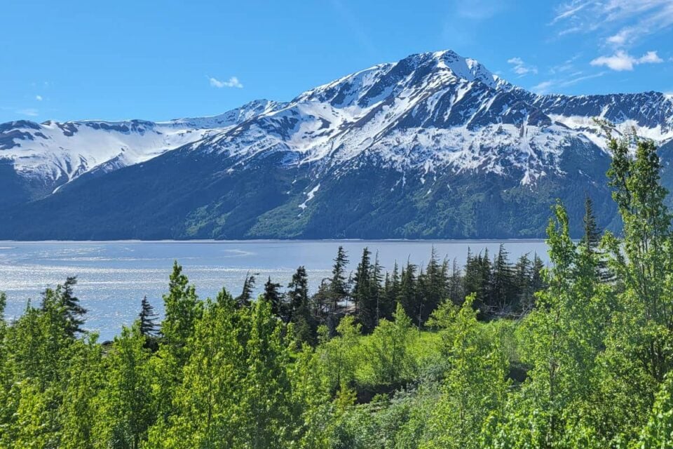 Whale Watching In Alaska: 6 Epic Places For Viewing - Alaska Trippers