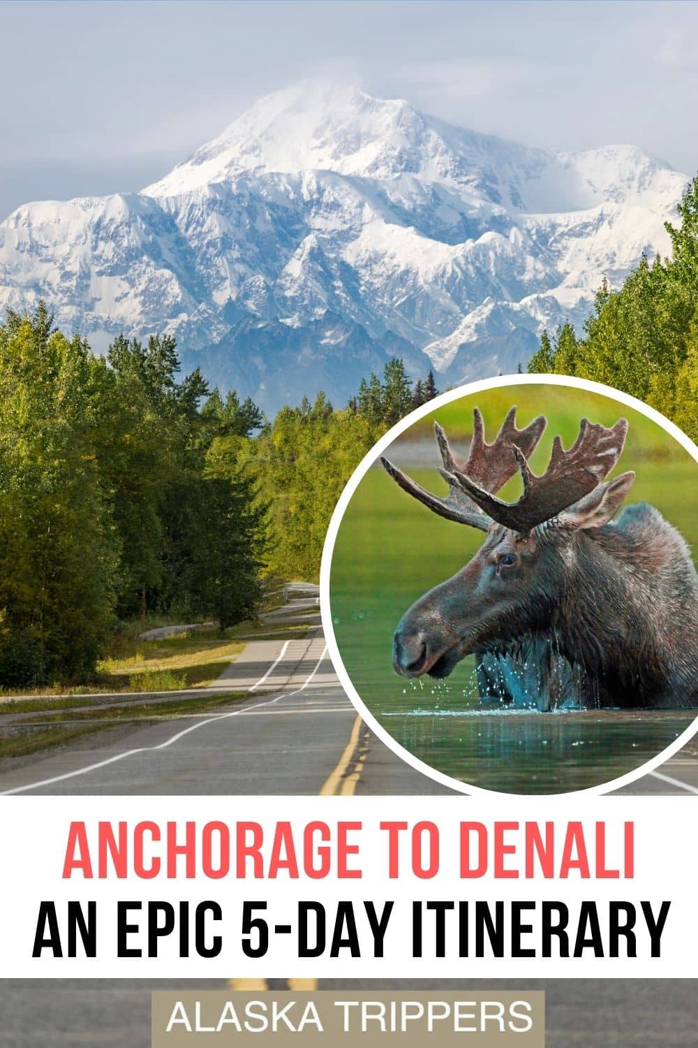 An Epic 5-Day Alaska Itinerary: Anchorage To Denali National Park ...