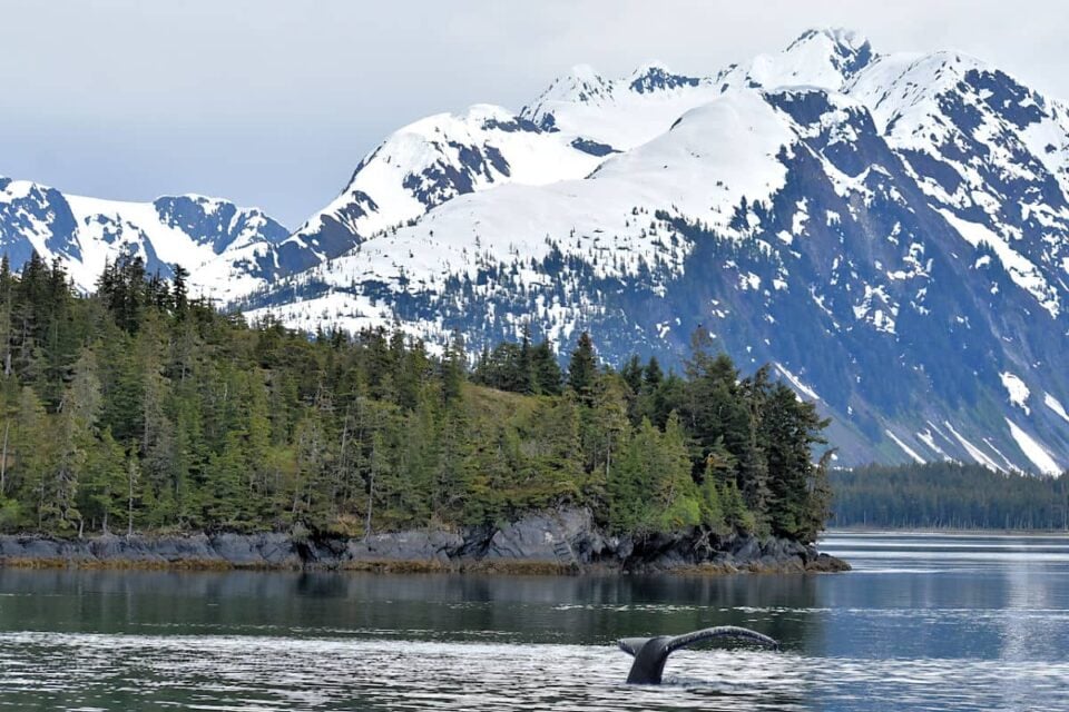 Alaska In August: Epic Summer Adventures, Wildlife And Weather - Alaska ...
