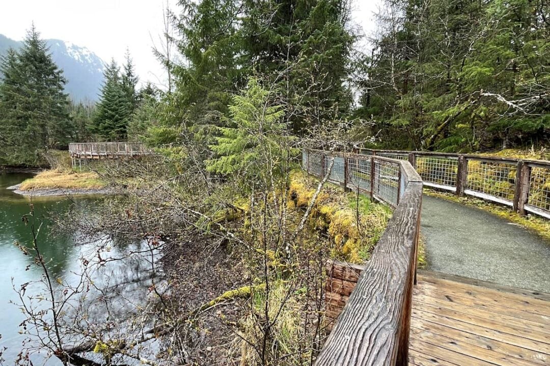 Hiking In Juneau: Exploring The Trails Of The Last Frontier - Alaska ...
