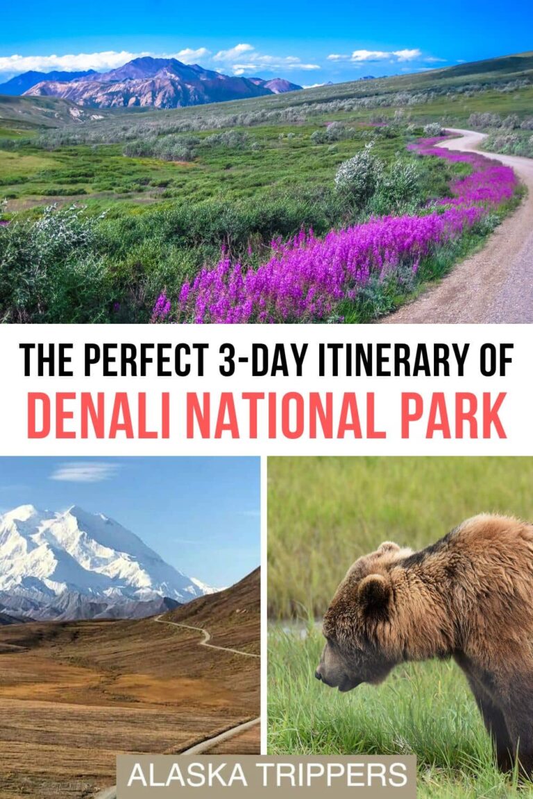 3 Days In Denali: The Ultimate National Park Itinerary - Alaska Trippers