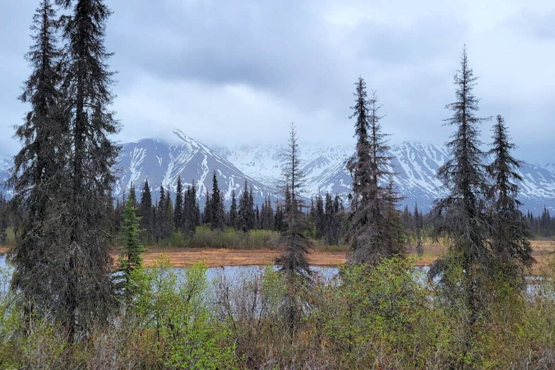 Talkeetna To Denali: A Scenic Route To Alaska's Stunning Peak - Alaska ...