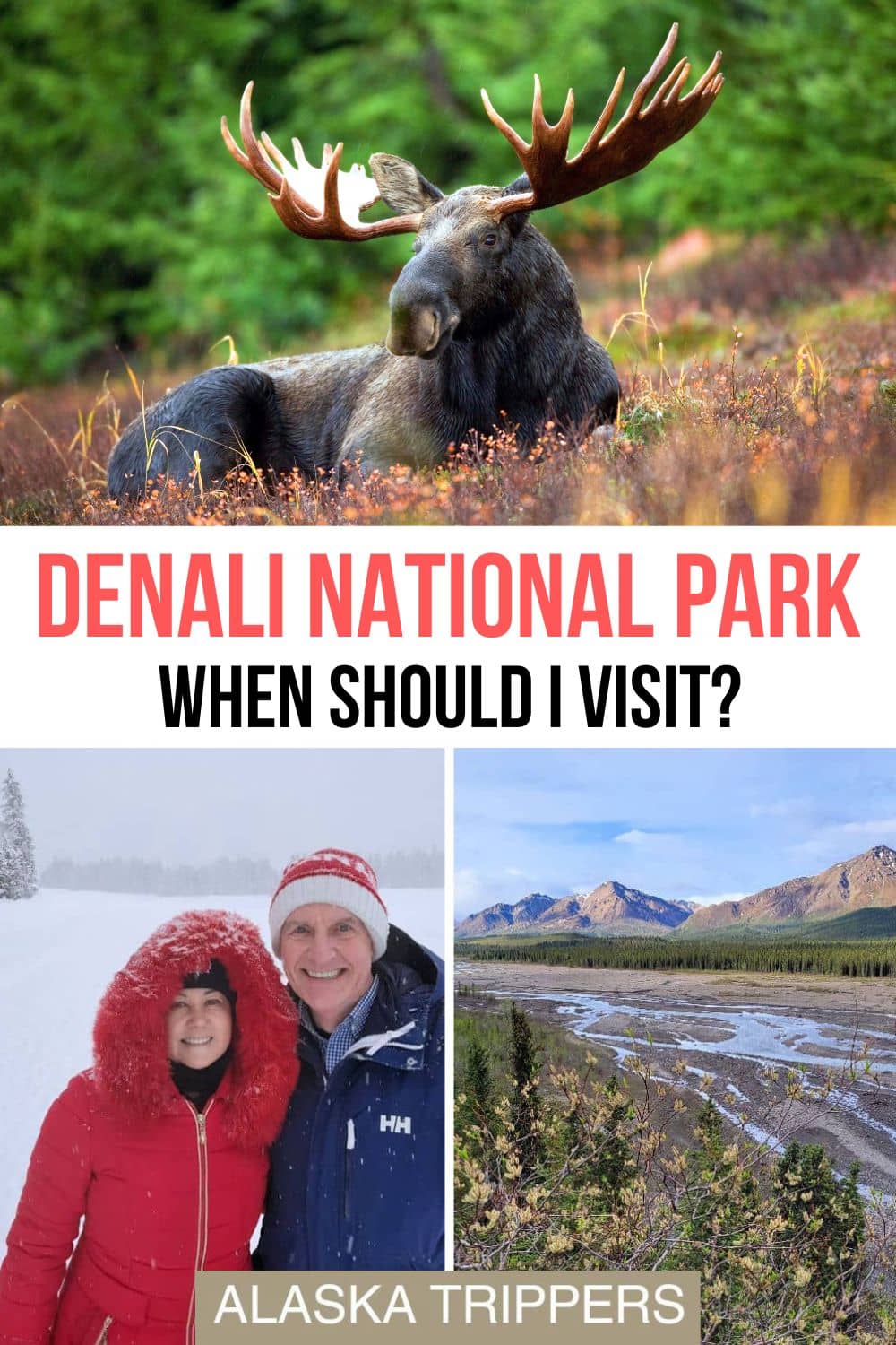 Best Time To Visit Denali National Park: A Seasonal Guide - Alaska Trippers