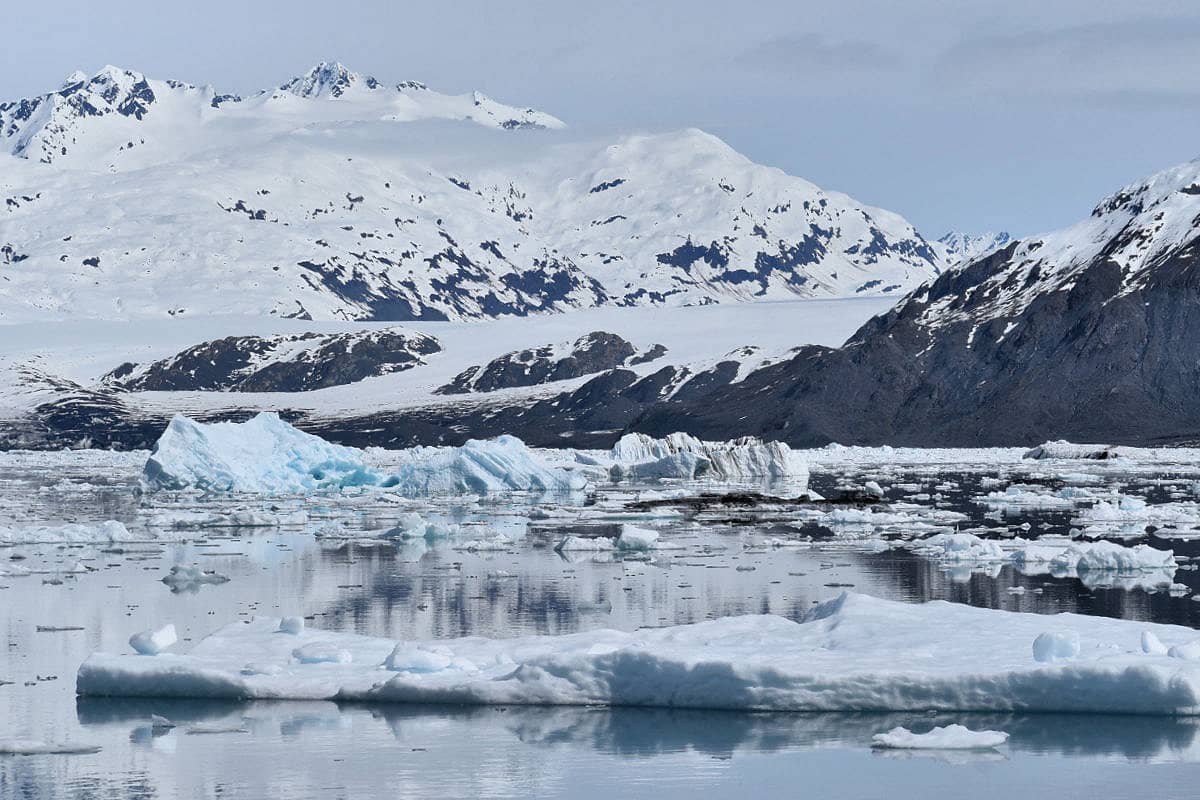 Columbia Glacier Cruise: An Epic Journey From Valdez, Alaska - Alaska ...
