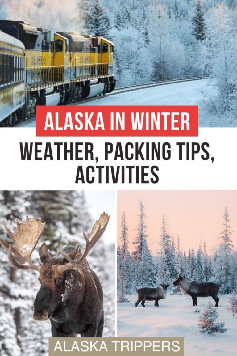 Alaska In Winter: Northern Lights, Dog Sledding, And More - Alaska Trippers