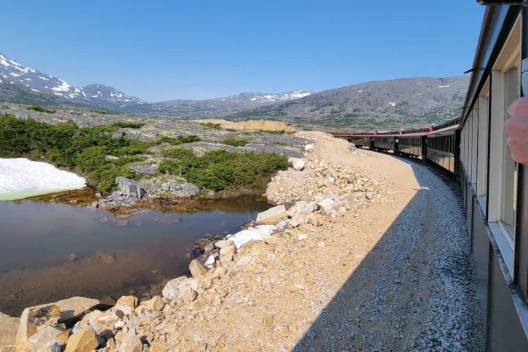 White Pass Summit Vs. Scenic Train: Which Is Better? - Alaska Trippers
