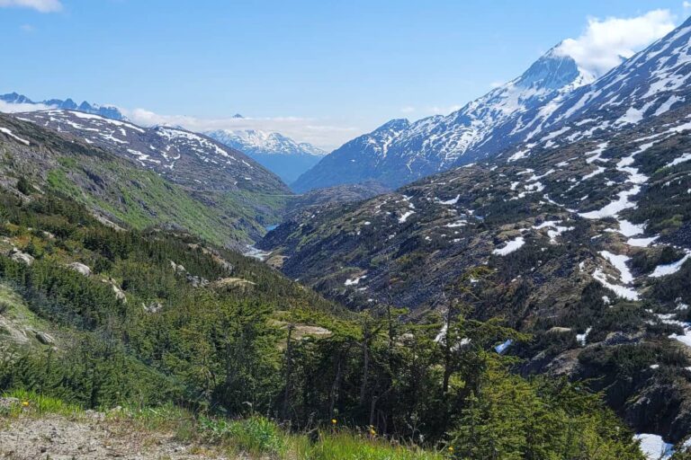 White Pass Summit Vs. Scenic Train: Which Is Better? - Alaska Trippers