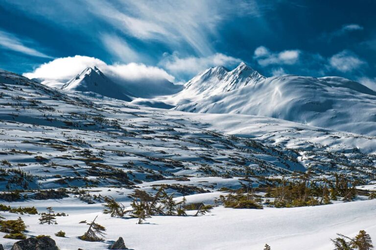 Alaska In Winter: Northern Lights, Dog Sledding, And More - Alaska Trippers
