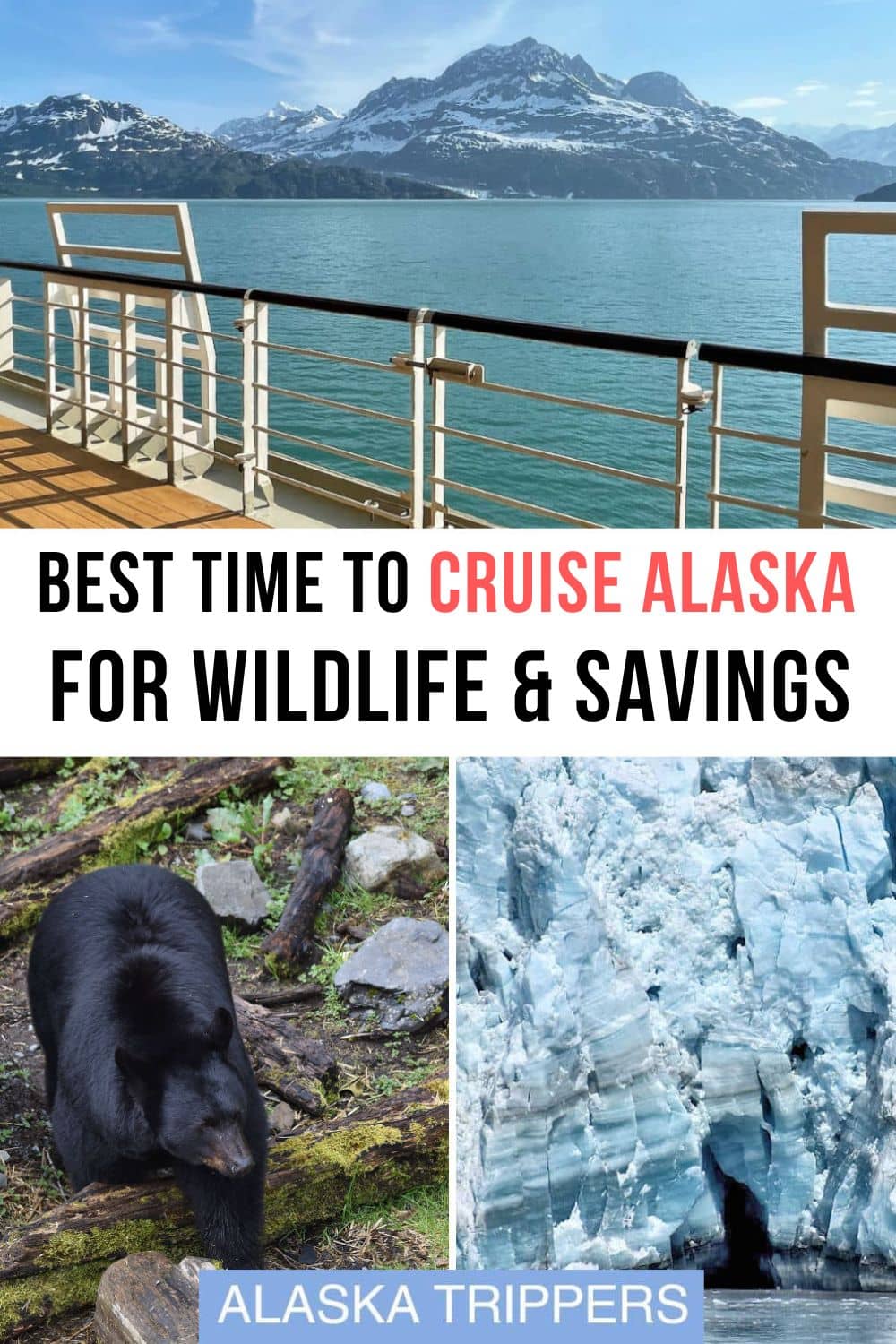 Best Time To Cruise Alaska For Whales, Bears, And Value - Alaska Trippers